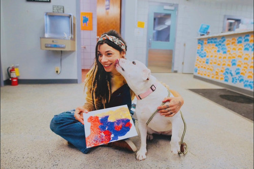 Hot Mess Pet Kit | HOT MESS STUDIOS LLC