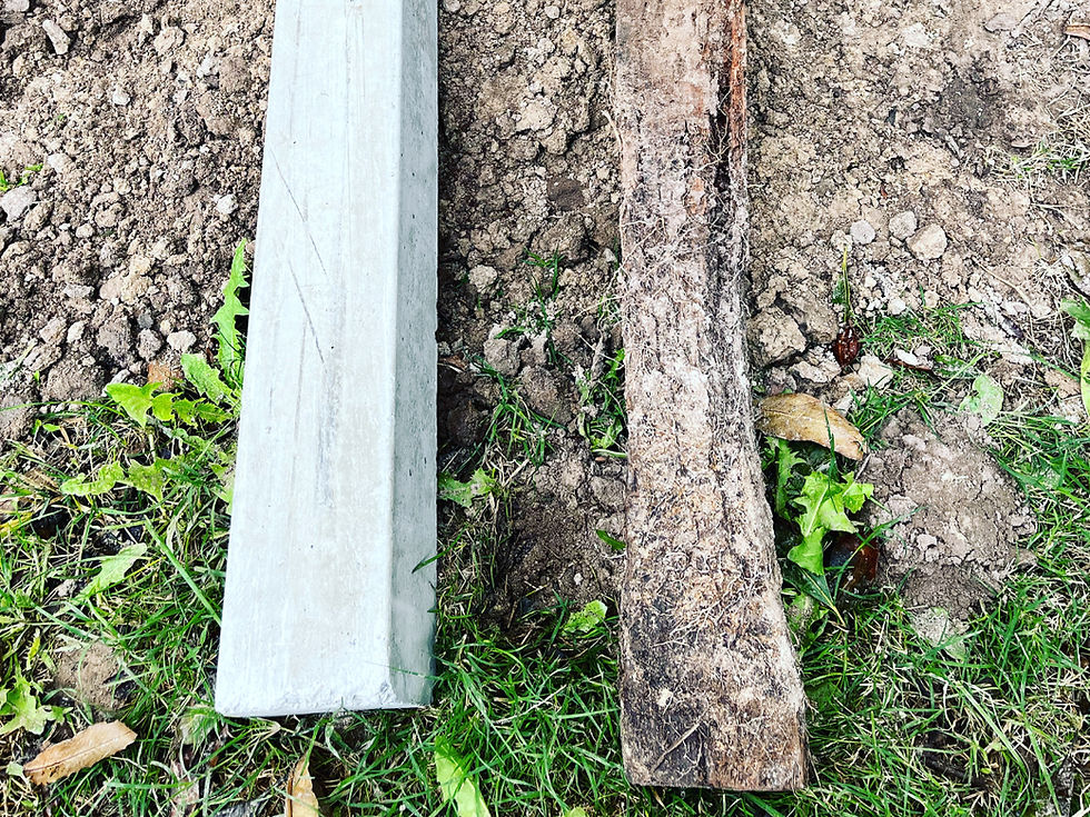 Concrete stumps or timber stumps?