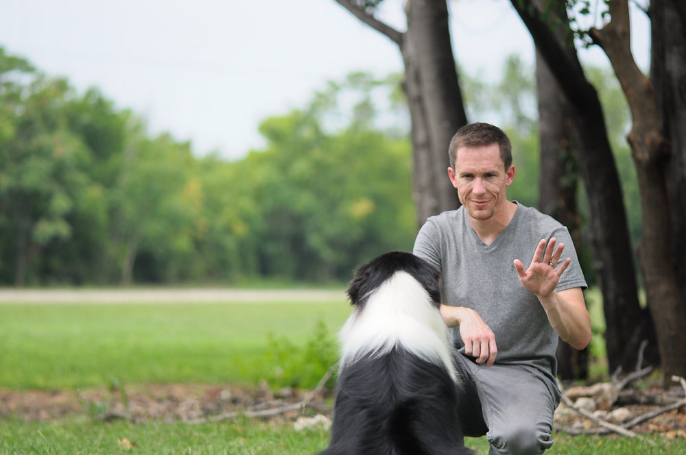 Who is your dog's decision-maker? And why should you care?