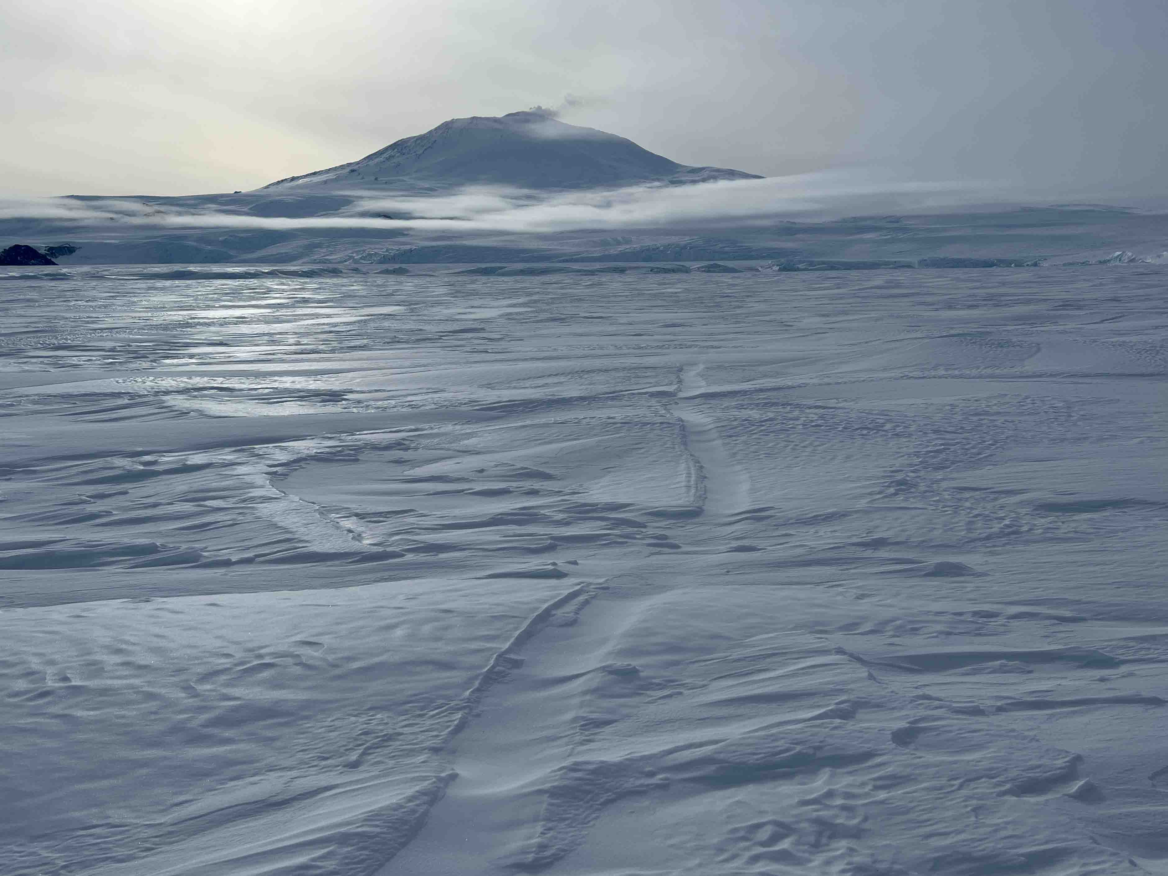 A diver, carpenter, and drill operator walk into a bar...