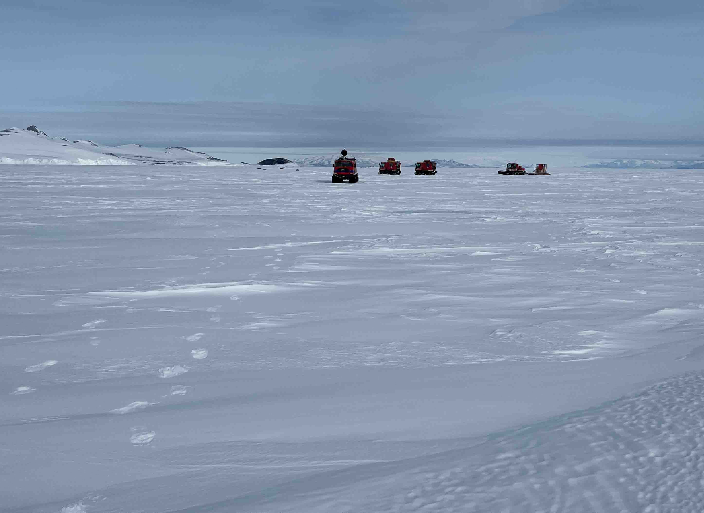 A diver, carpenter, and drill operator walk into a bar...
