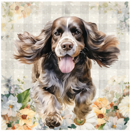 FSC 1038 Scatter Cushion 604 | Creative Talents