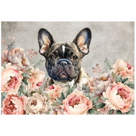 Deco Print Frenchie and Peonies | Creative Talents