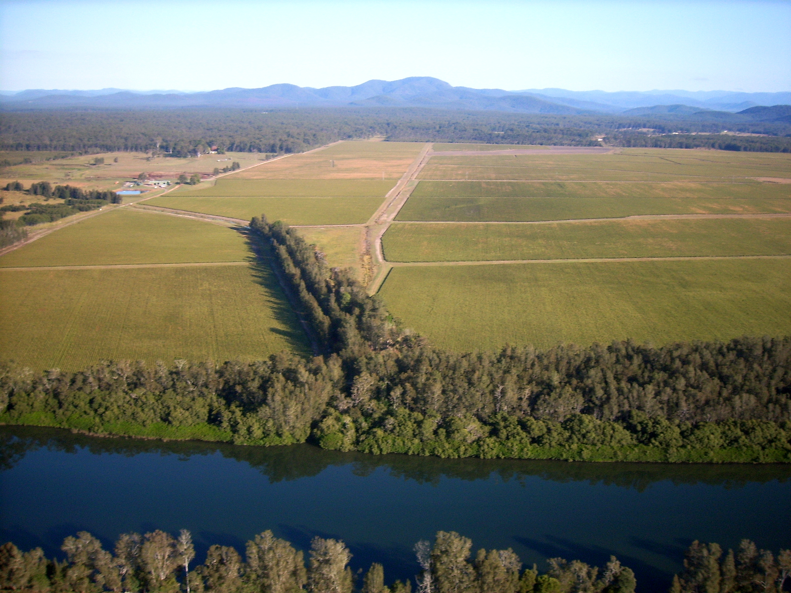 Cassegrain Kalara ,Tea Tree Oil, Antiseptic, Australia