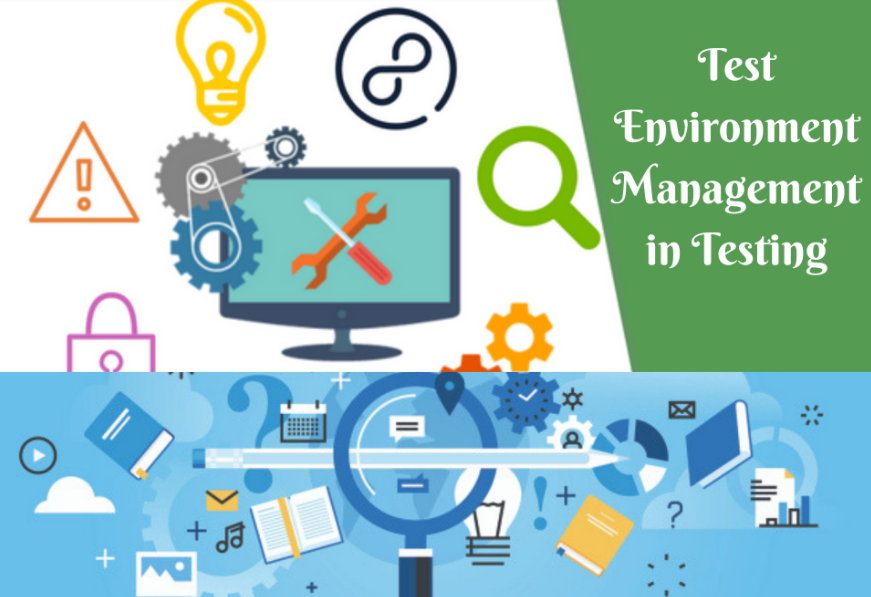 Why is the IT Test Environment Management strategy necessary?