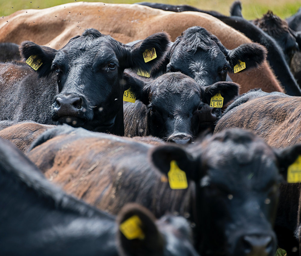 Farmers: Learn How You Can Benefit from Working with a Boyceville ...