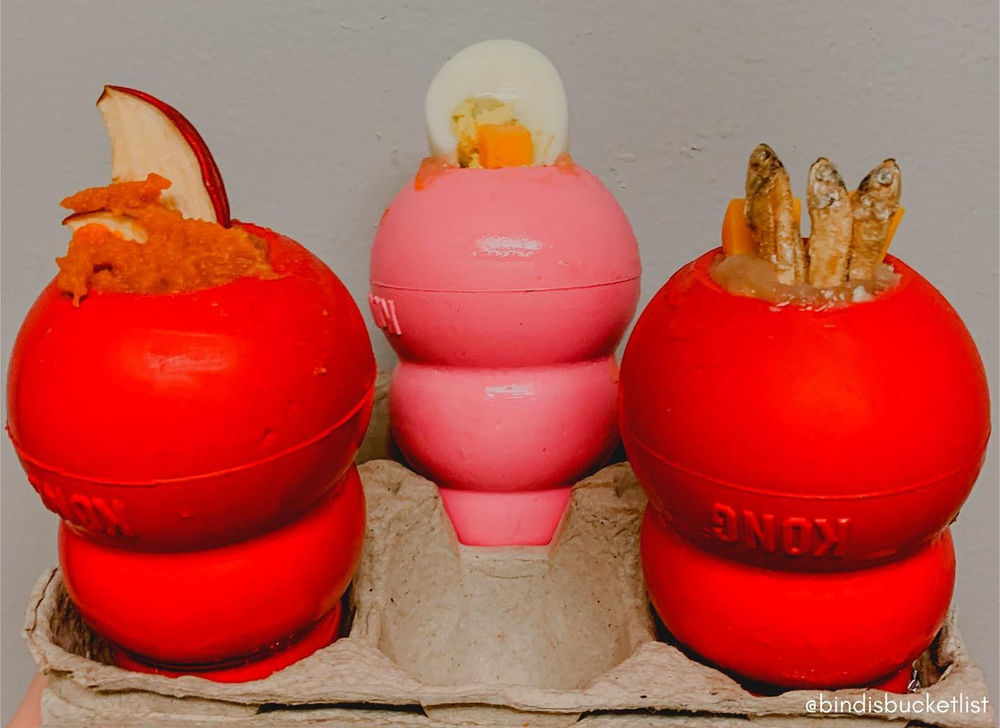 FAQ: Kong Stuffing Edition