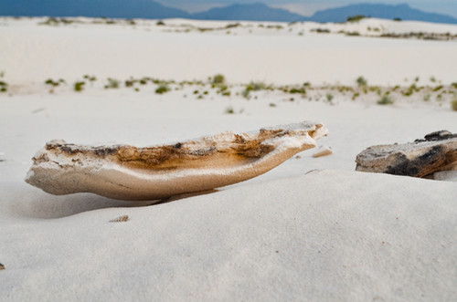 "Lightning Struck Sand" 2014 | by Michael Gorman | Michael Gorman Gallery