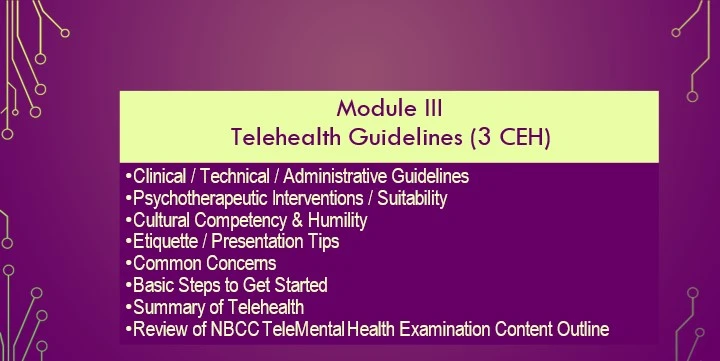 Telehealth Guidelines (3 CE Hrs.) | CE4MHP