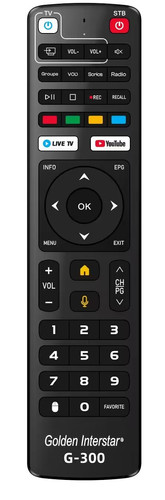 Remote control G-300 | Golden-Media