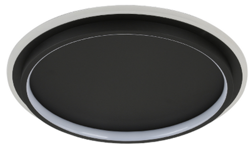 Full Modern Oyster (Circle) | QZAO PTY LTD