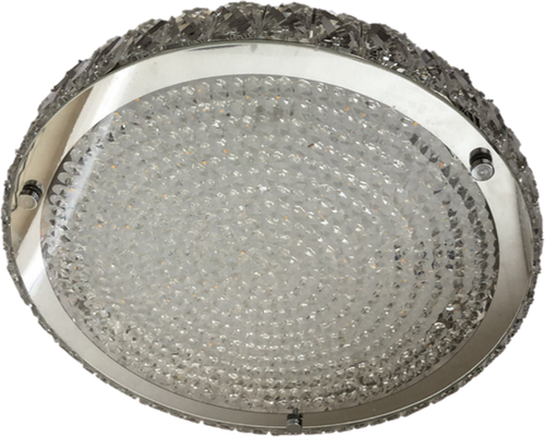 Venus Oyster | QZAO PTY LTD