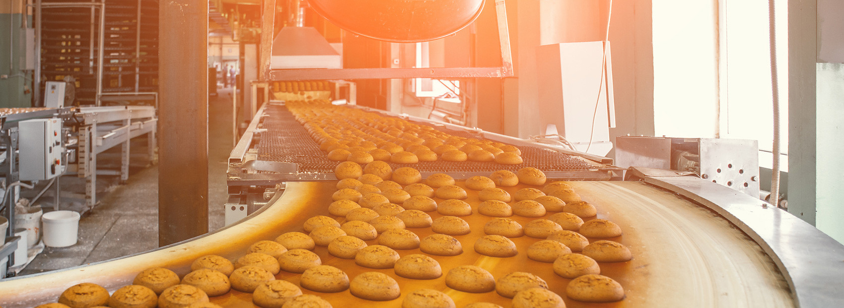 Food Processing Facilities | Evicom | Australia