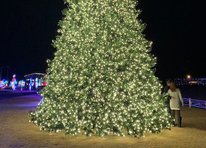 Barcana Current Promotions | Barcana