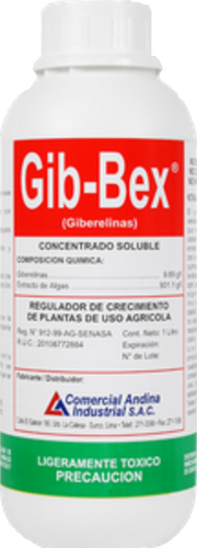 Gib Bex | Inagrecsac