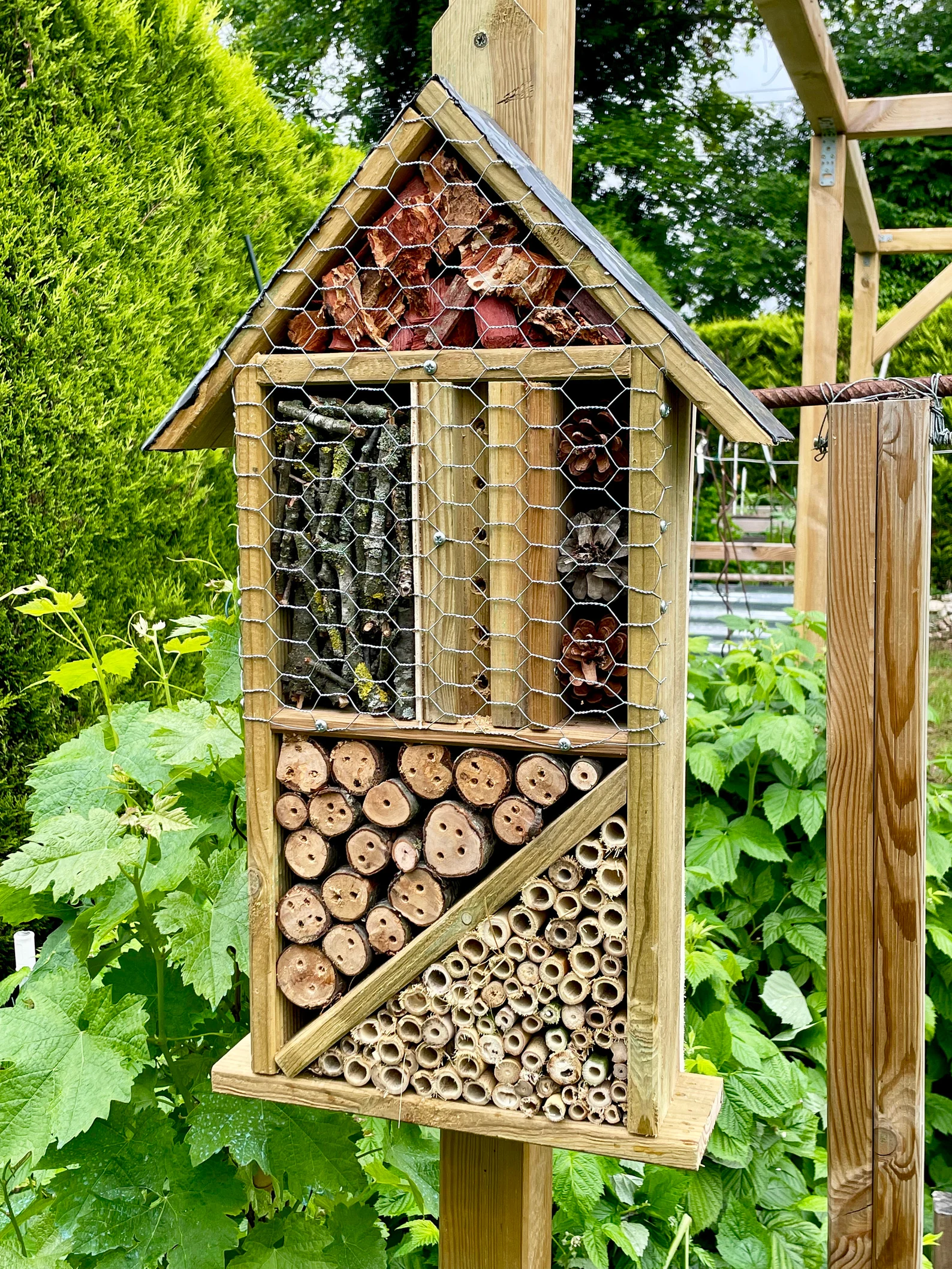 Save The Bees | Jacksonville Beekeep