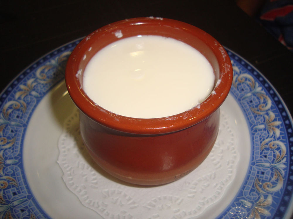 Fermented Cuisine of India: A Gastronomic Perspective