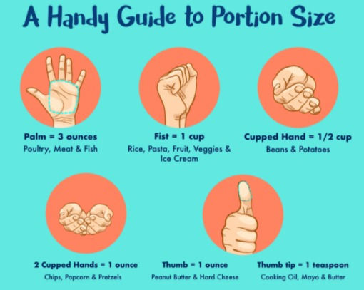 A beginner's guide on how much to eat