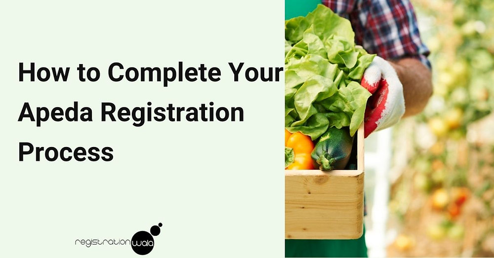 How to Complete Your Apeda Registration Process