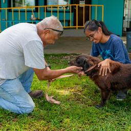 WHO WE ARE | Guam Animals In Need