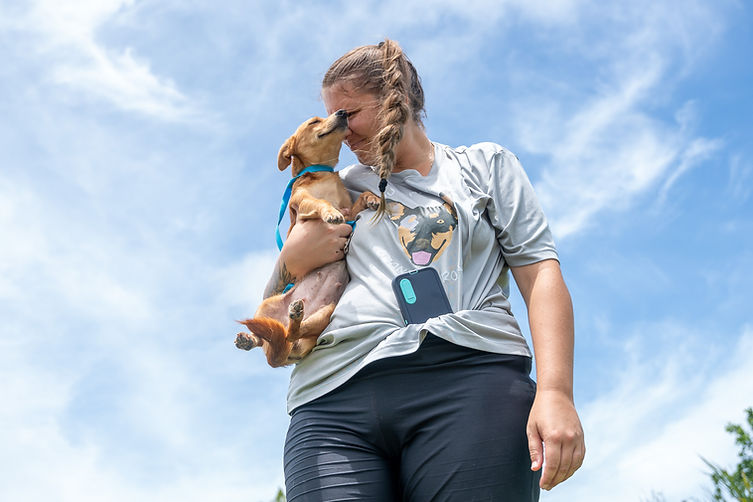 ADOPT | Guam Animals In Need