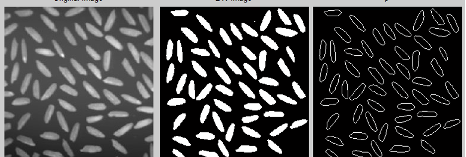 Rice detection and classification with matlab | Home