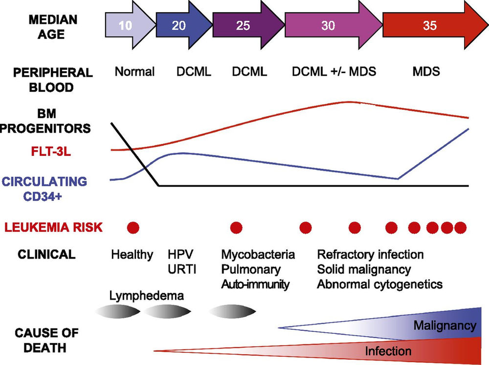 Explaining my disease GATA 2 deficiency