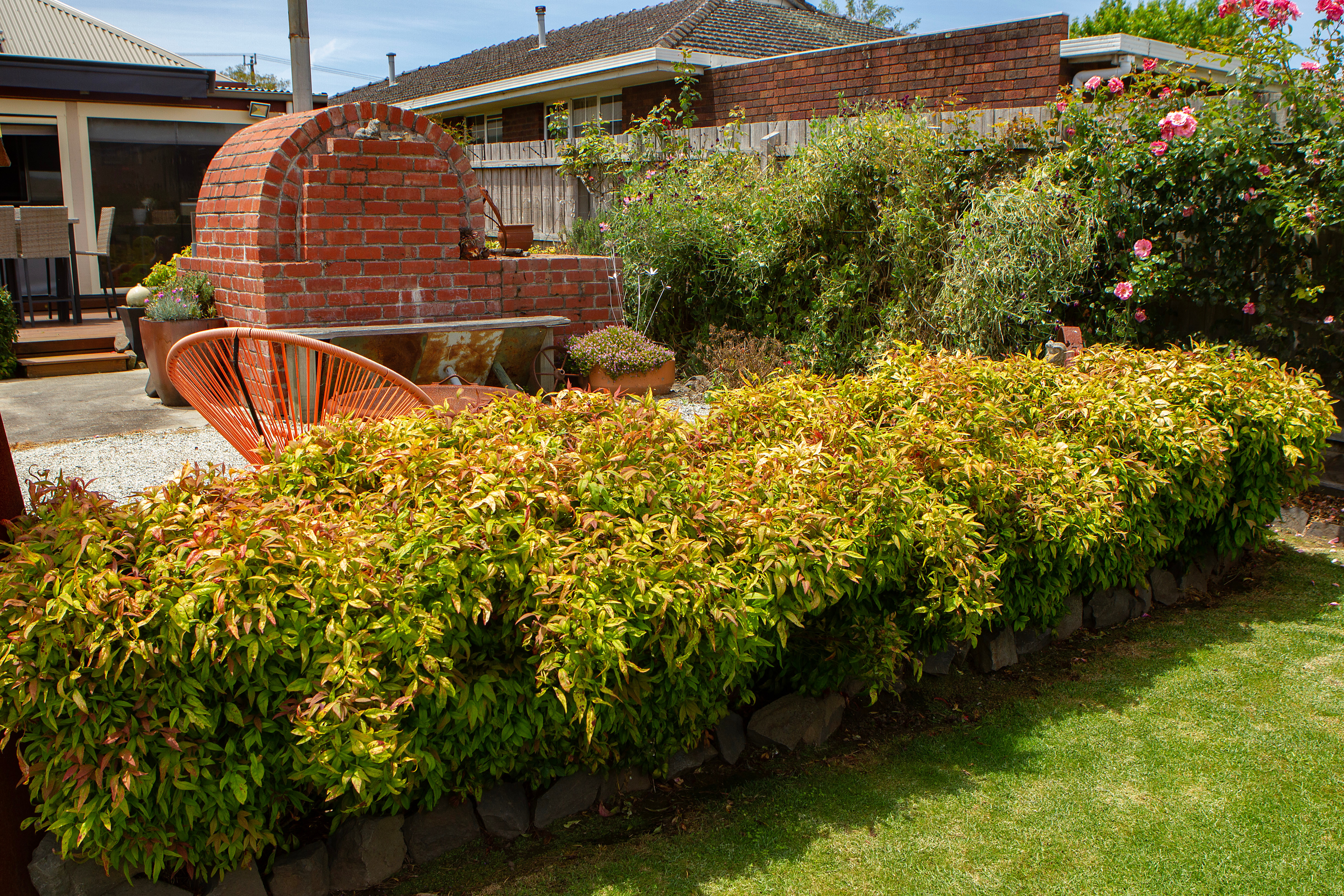 Mitchell’s Garden | Creative Harvest