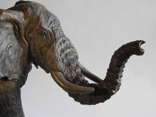 Titan: African Elephant | KindrieGroveStudios
