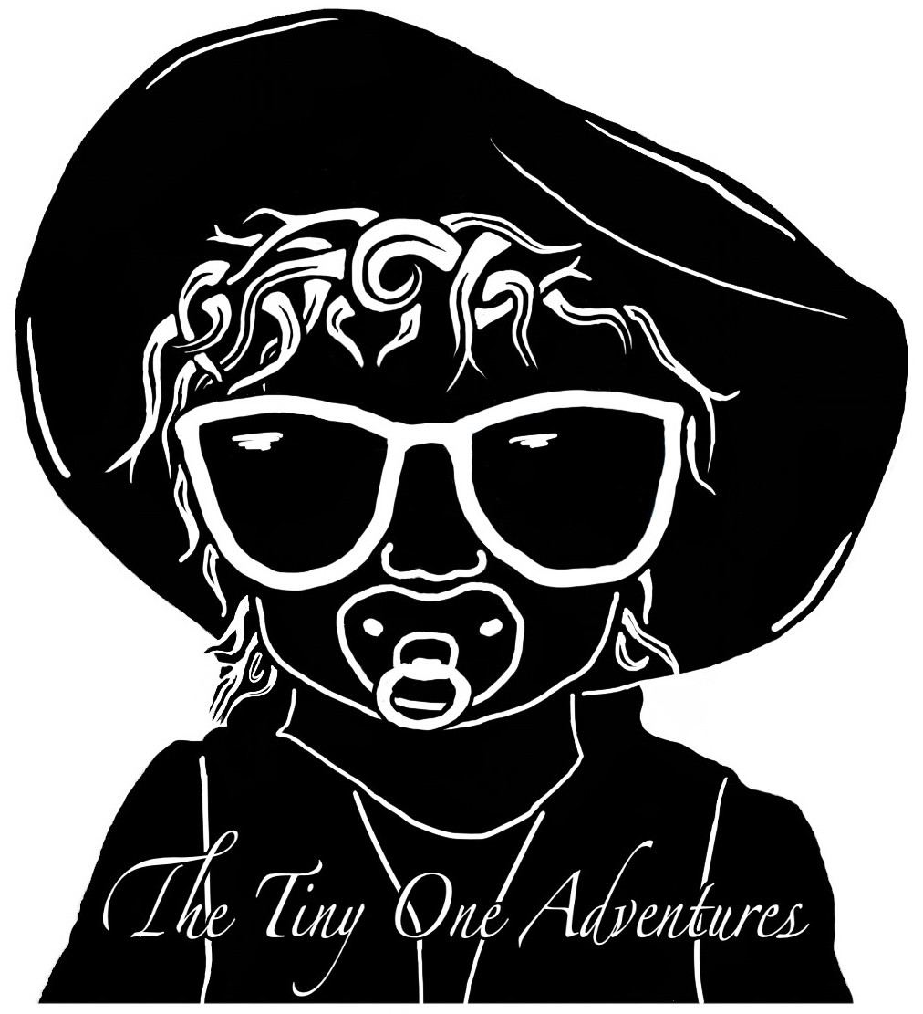 The Tiny One Adventures | Pint-sized RV Travel Blog
