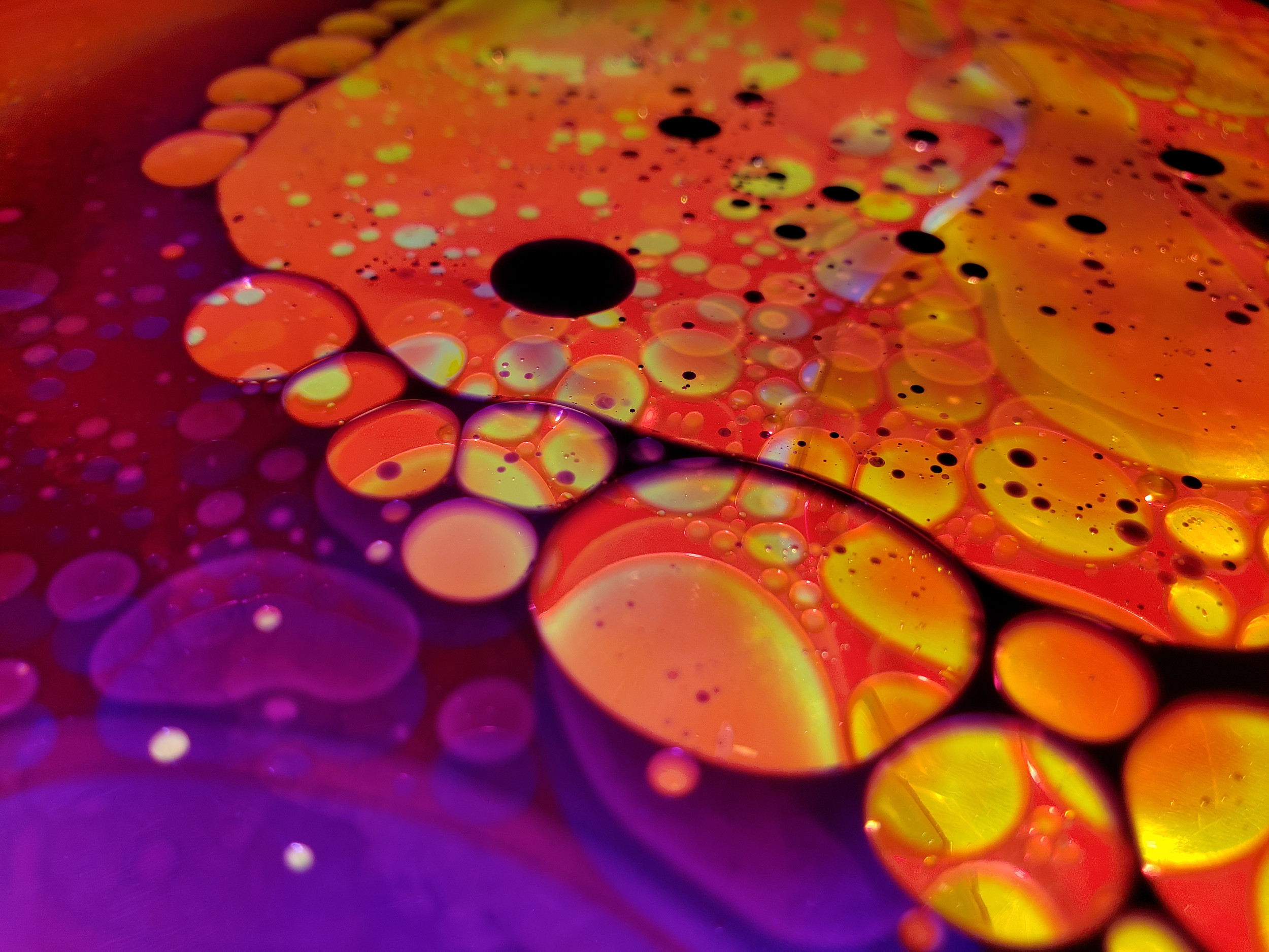 Liquid Light Projector | Ink | Asheville | Kristin Kahl