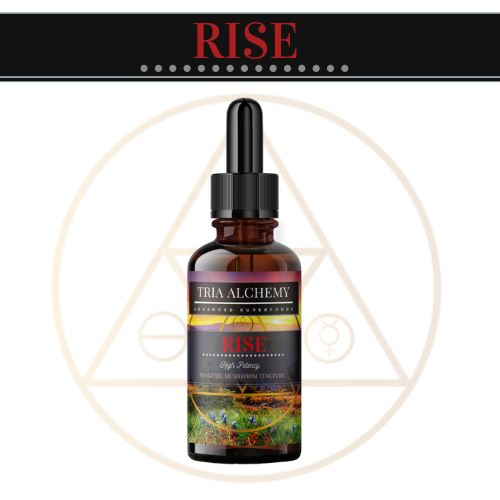 RISE - nootropic adaptogen blend | Tria Alchemy