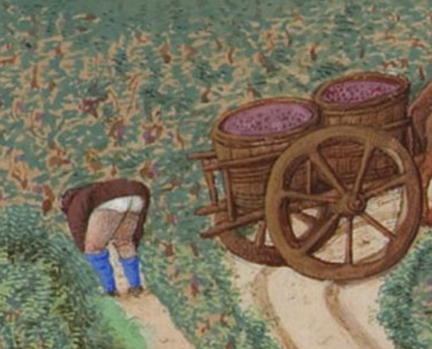 Medieval underwear: what did fourteenth-century men wrap around their ...