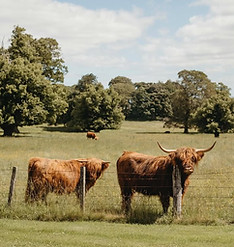 Kirknewton Stables | Saltire Hospitality