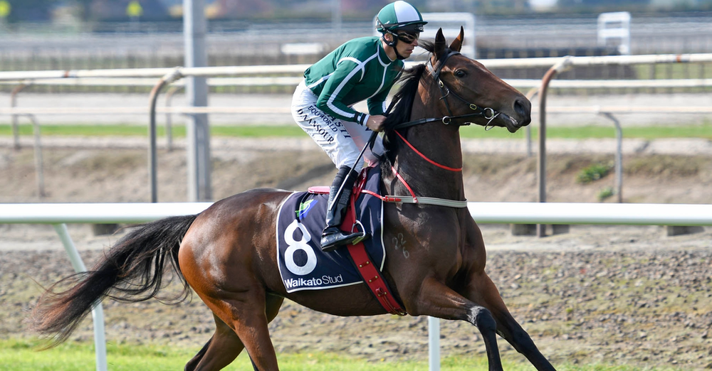 NZ 1000 Guineas runner-up - back story