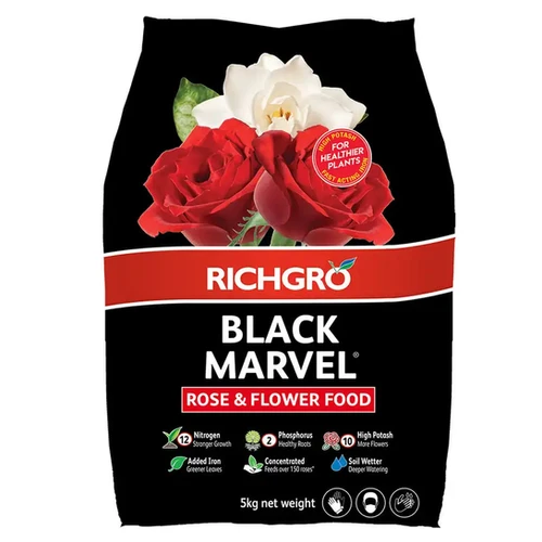 Black Marvel Rose & Flower Food Toowoomba | True Blue Garden Centre