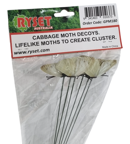 Cabbage Moth Decoys - 6pk | True Blue Garden Centre