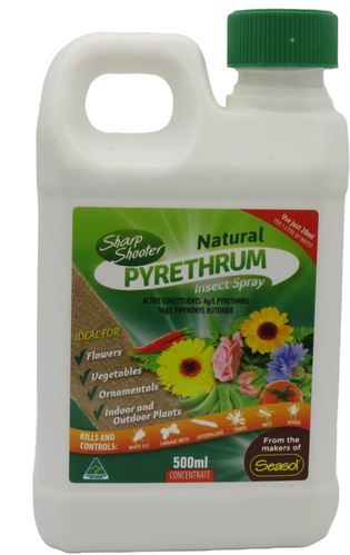 Pyrethrum Concentrate | True Blue Garden Centre