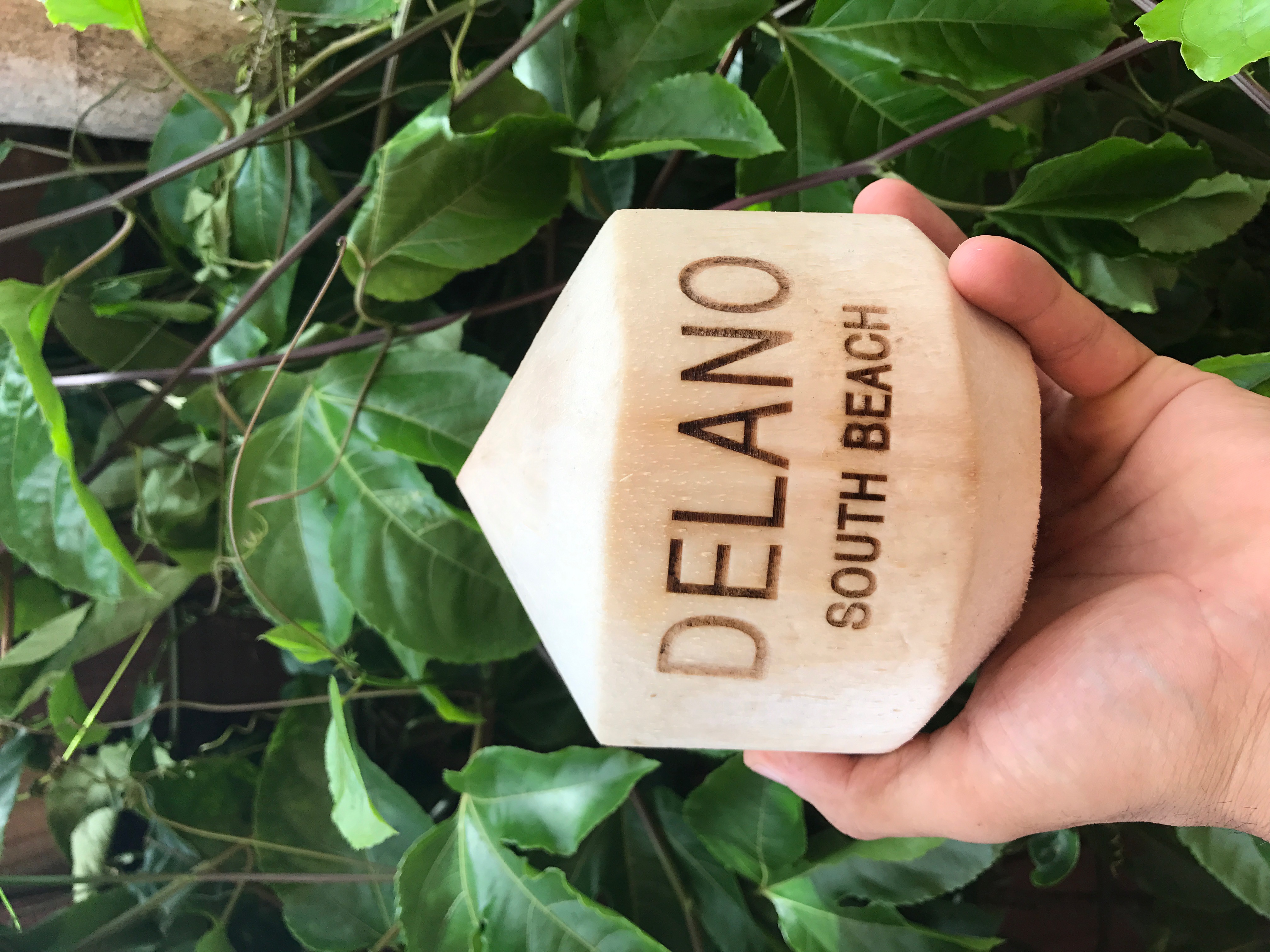 Order Thai Coconuts (White Shaved) - Wholesale, Custom Logo