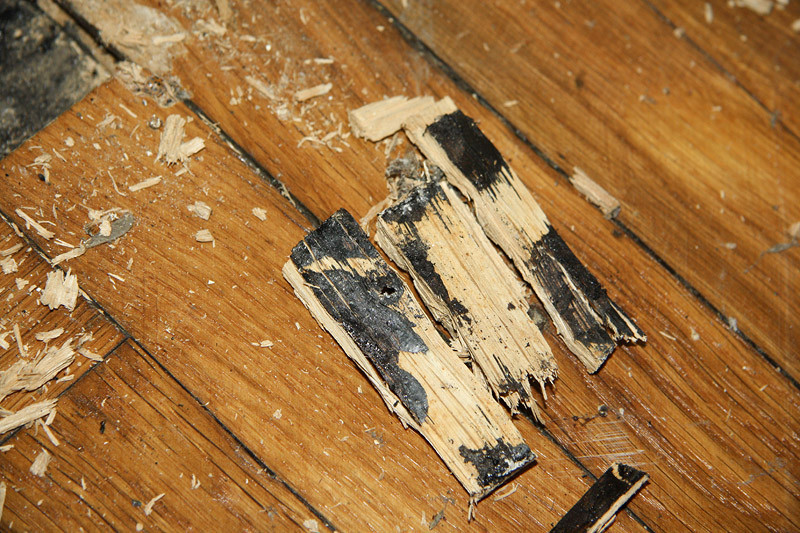 PAK-haltige Parkett Kleber