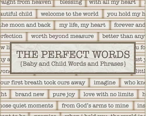The Perfect Words - INSPIRATIONAL WORDS AND PHRASES | Pink Monarch Prints