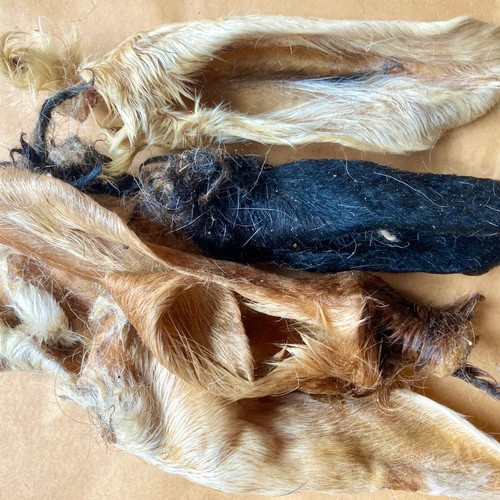 Hairy Goat Ear | Wild Pooch