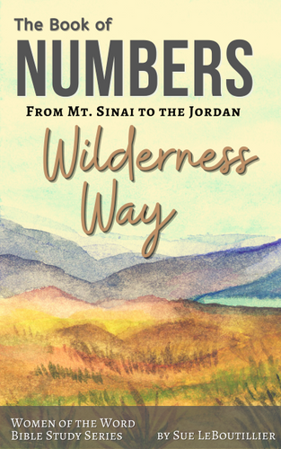 Numbers • The Wilderness Way | Life Bible Ministry
