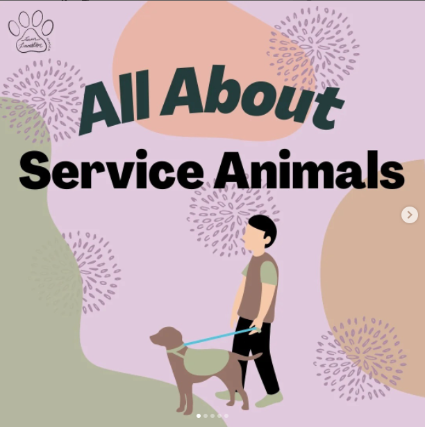 All about service animals