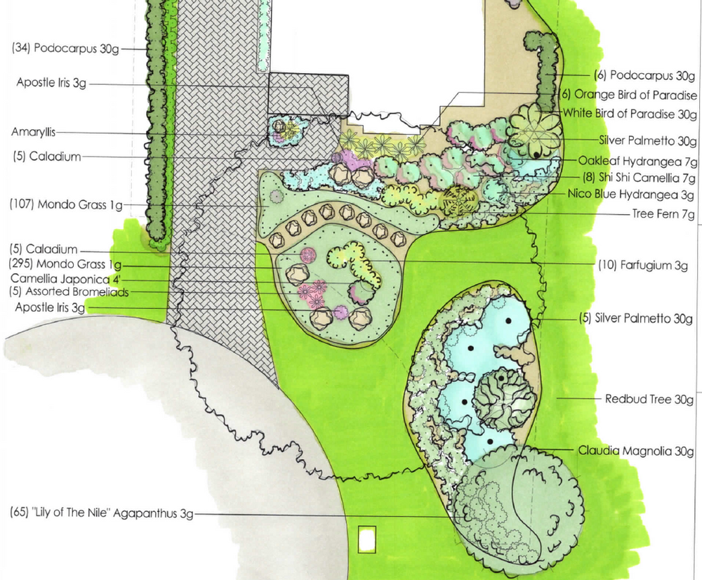 Tropical, Native and Iconic Florida Landscape Plants on our latest ...