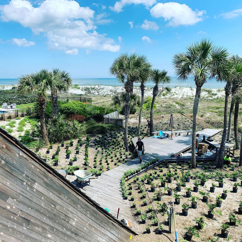 Landscape Design Highlight : Designing Oceanfront Gardenscapes in ...