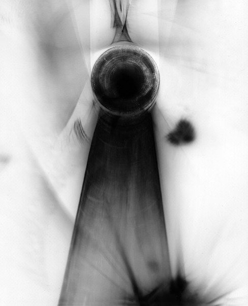 Photogramフォトグラム｜写真家西村陽一郎HP｜Japanese Photographer｜Yoichiro Nishimura HP