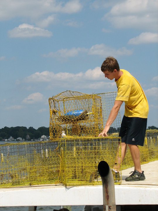Crabs | Waterman's Pride | United States