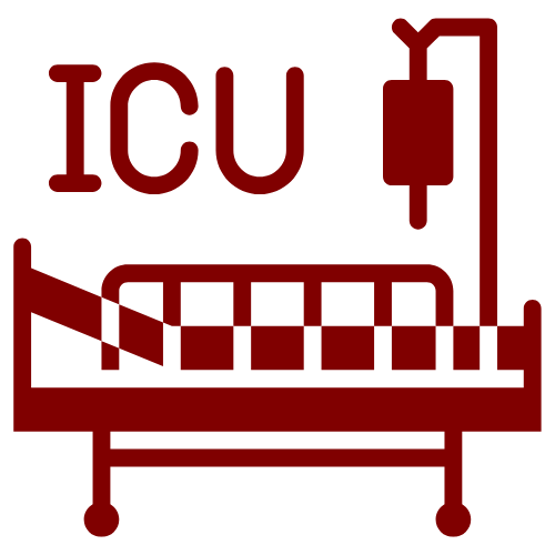Intensive Care Unit (ICU) Services at SS Hospital