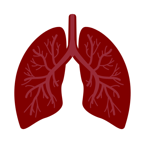 Expert Care for Respiratory Health | SS Hospital